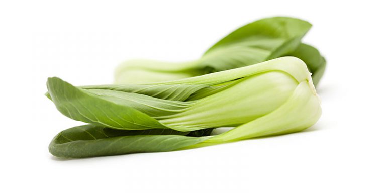 Paksoy - Van der Mey