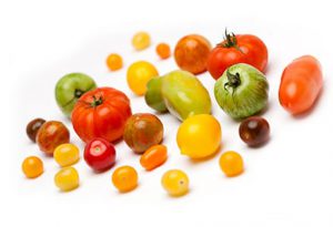 Inca tomaten mix - Van der Mey